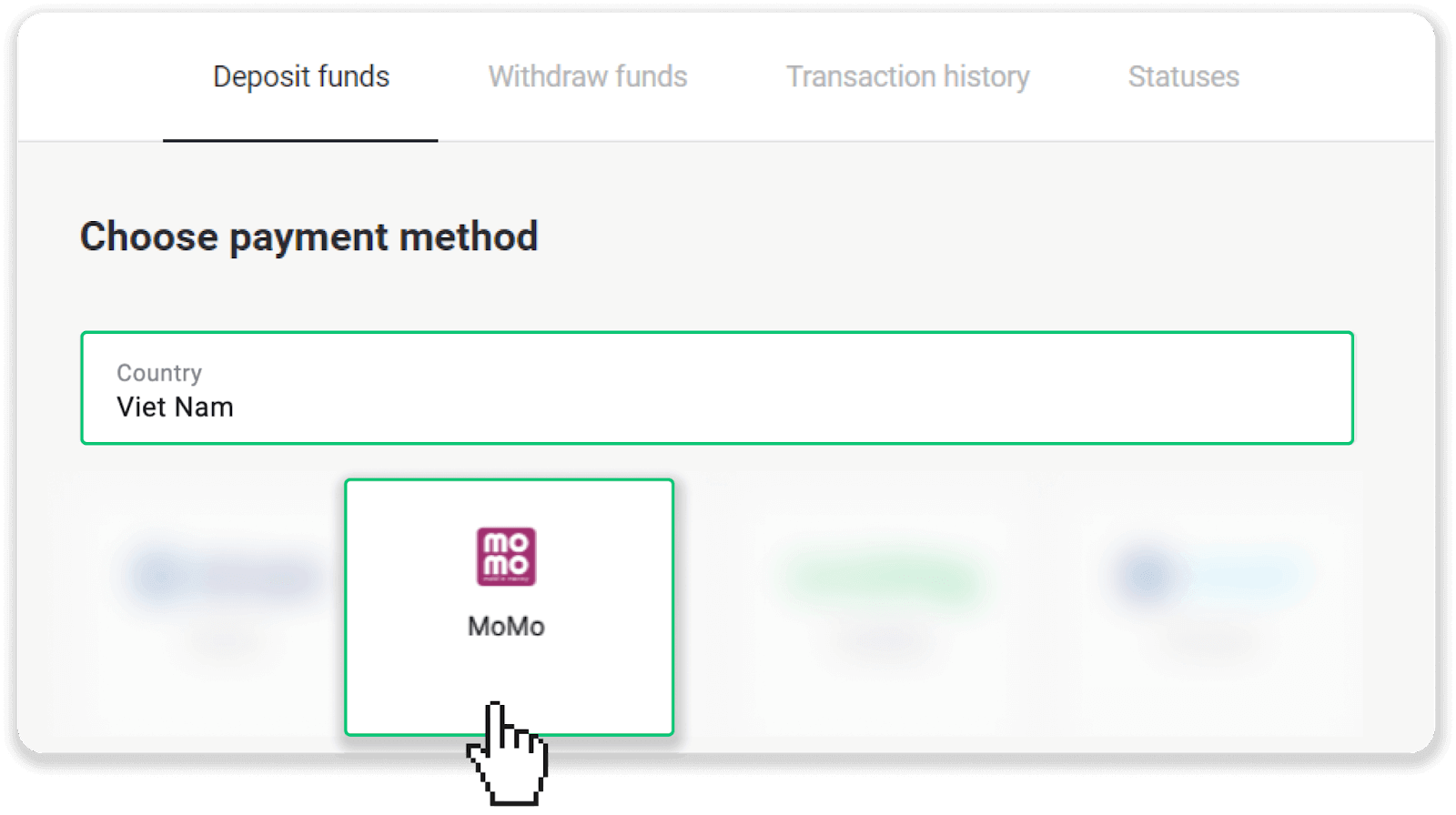 Vyetnam Bank Kartları (Visa / Mastercard), İnternet